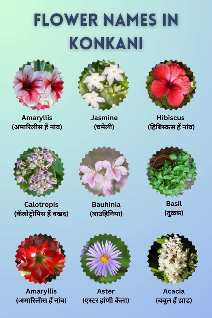 Fascinating Flower Names in Konkani You’ll Love to Learn